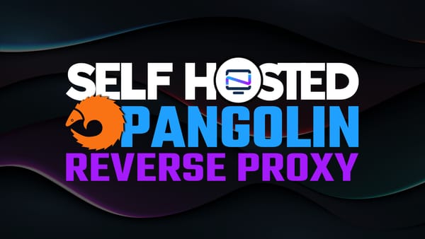 Pangolin: Easy Self-Hosted Tunneled Reverse Proxy with Built-in Auth ...